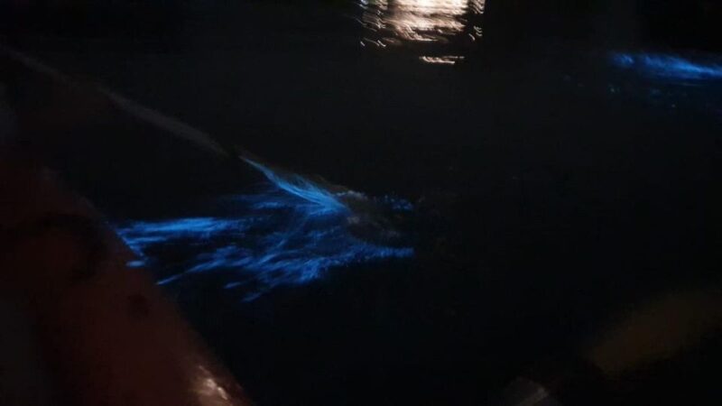 Lan Ha Bay: Sunset & Plankton Bioluminescent Night Kayaking - Final Words