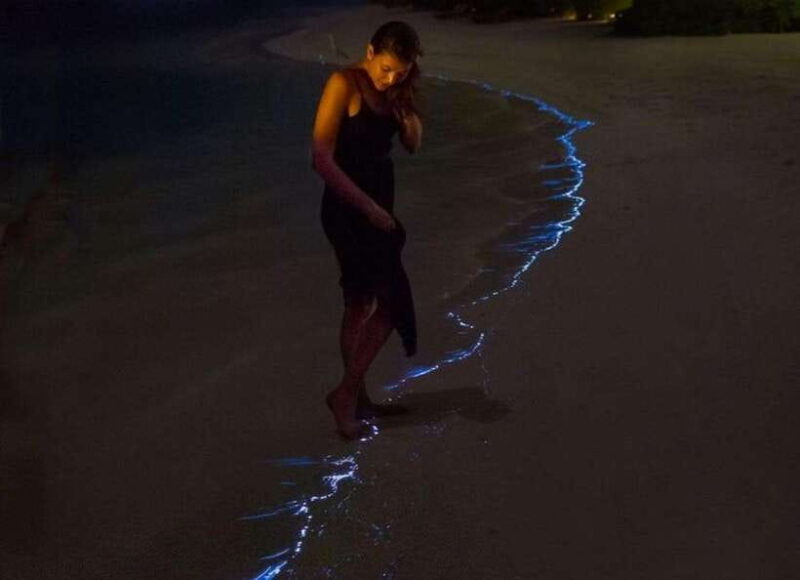 Lan Ha Bay Sunset,Evening Kayak Bioluminescent Plankton Trip - Analyzing the Value and Practicality