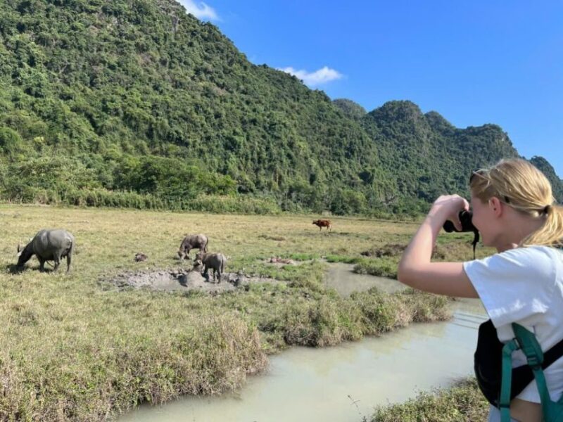 Lan Ha Bay Viet Hai village Boutique Cruise - FAQ: Your Questions About the Tour