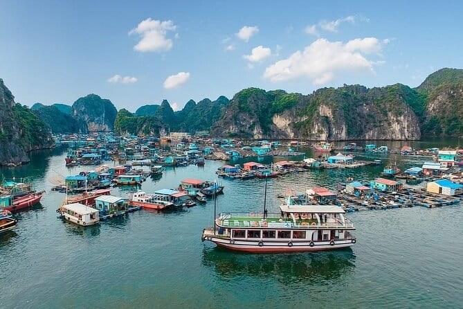 Lan Ha to Ha Long Bay Cruise and Kayaking from Cat Ba Island - Key Points
