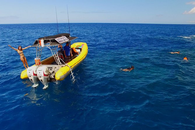 Lanai Deluxe Dolphin Adventure & 3 Snorkel Sites - Snorkeling Locations and Highlights