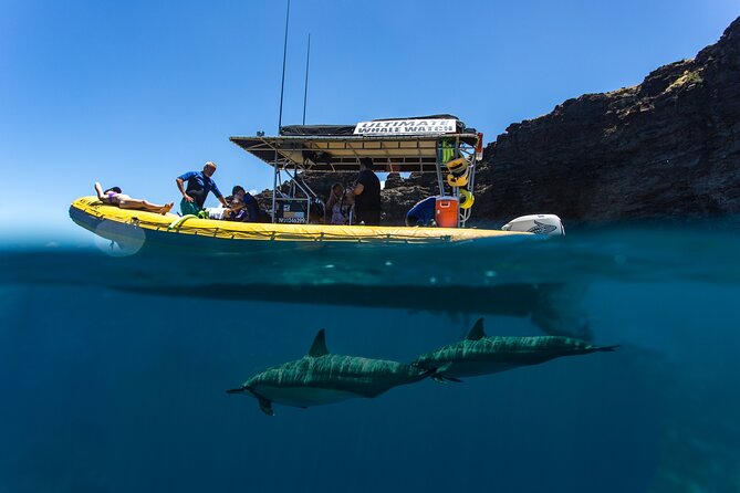 Lanai Deluxe Dolphin Adventure & 3 Snorkel Sites - Boat and Equipment