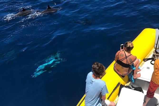 Lanai Deluxe Dolphin Adventure & 3 Snorkel Sites - Health and Safety Considerations