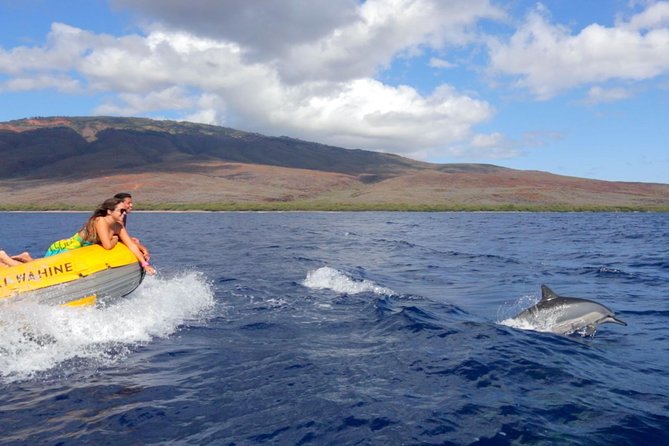 Lanai Deluxe Dolphin Adventure & 3 Snorkel Sites - Tour Booking and Logistics