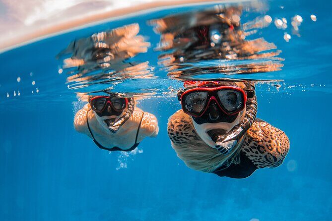 Lana'i Snorkel And Dolphin Quest with Maui Turtle Spot Tour - Authentic Encounters and Honest Feedback