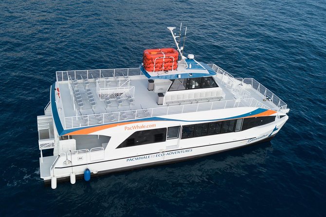 Lanai Snorkel and Dolphin Watch From Maalaea - Customer Experiences and Reviews