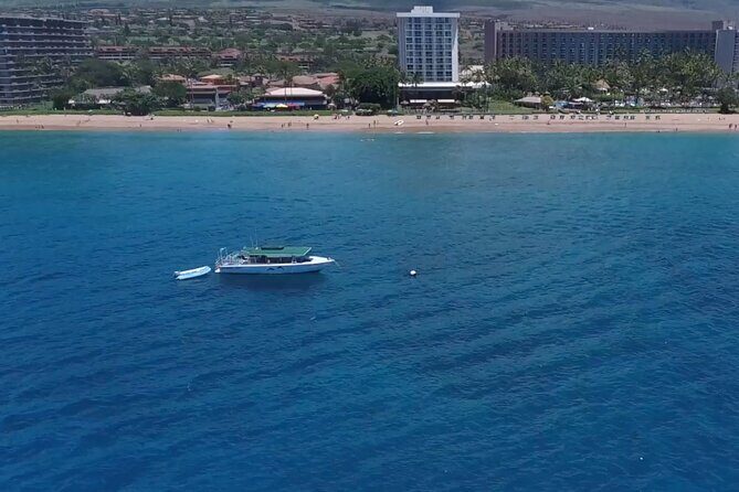 Lanai Snorkeling Half Day with Sea Scooter - Final Thoughts: Is This Tour Right for You?
