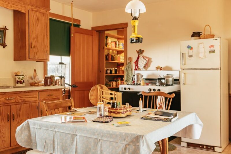 Lancaster: Amish Film, House, and Farmland Experience - What Travelers Say