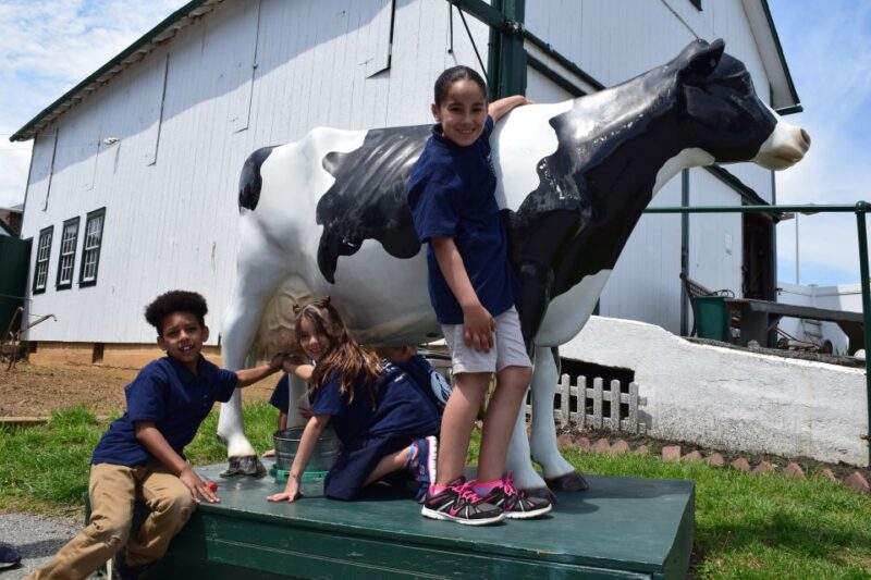 Lancaster County: Amish Farmlands, Museum Tour, Farm Visit - Key Points