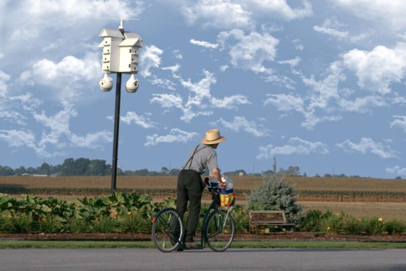 Lancaster County: Amish Farmlands, Museum Tour, Farm Visit - Who Should Consider This Tour?