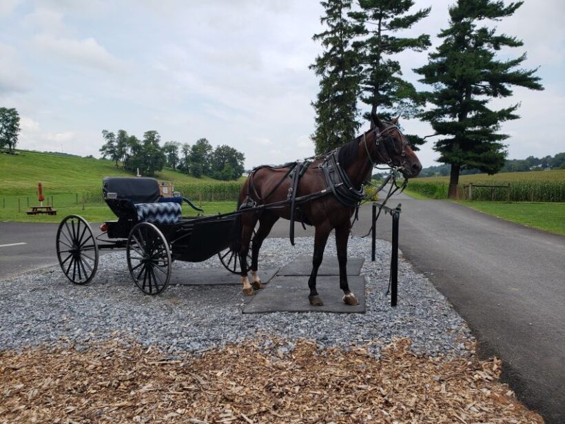 Lancaster: Downtown & Amish Country Authentic Lancaster Tour - Authenticity and Value