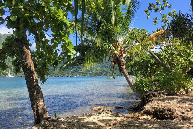 Land and Sea cultural tour to discover traditions, heritage and the lagoon - FAQ