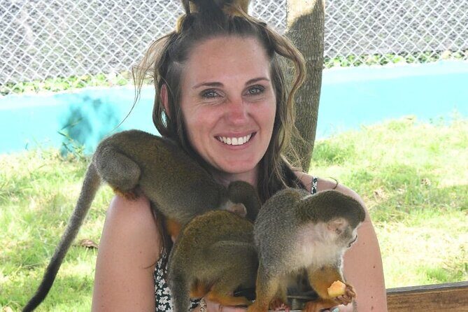 land of monkeys and silver port city tour - A Detailed Look at the Tour Experience