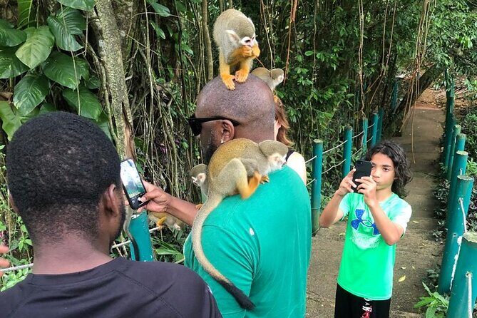 land of monkeys and silver port city tour - FAQ