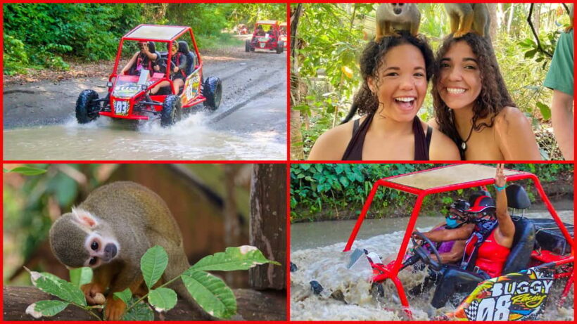 Land of Monkeys Plus ATV Buggies Adventure in Puerto Plata - Key Points