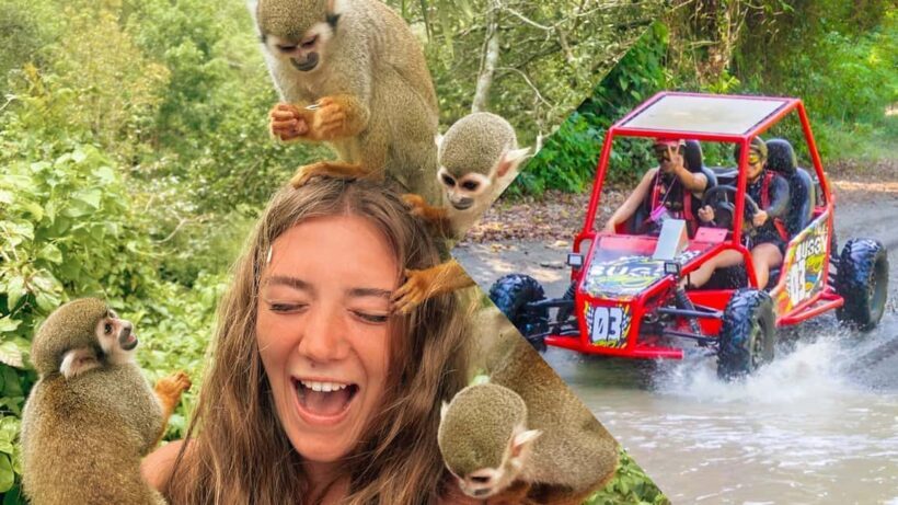 Land of Monkeys Plus ATV Buggies Adventure in Puerto Plata - Visiting a Dominican Plantation