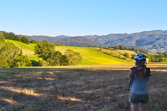 Land of painters - the origins of the Tuscan landscape - The Value and Practicalities