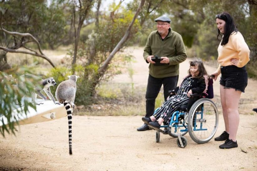 Land of the Lemurs Experience & a Day at Monarto Safari Park - Key Points