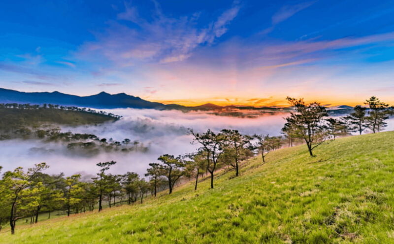LAND OF THOUSANDS OF FLOWERS IN DA LAT 3D2N - FAQs