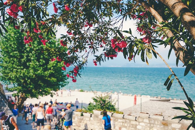 Land of Venice: Verona, Lake Garda and Countryside Private Tour - Traveler Reviews and Feedback