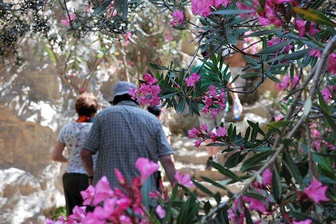 Land Rover Akamas Blue Lagoon Jeep Safari - Meeting and Pickup Details