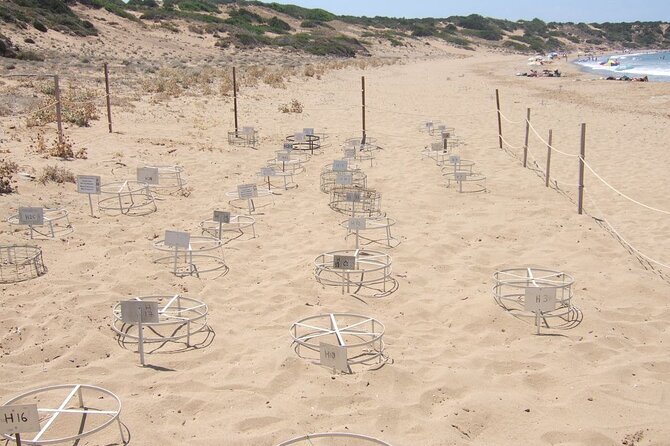 Land Rover Akamas Blue Lagoon Jeep Safari - Booking Information and Cancellation Policy