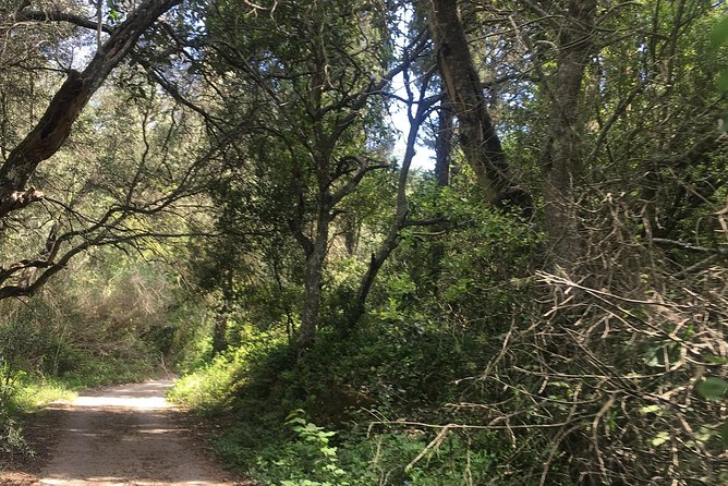 Land Rover Safari in Rhodes South Route - FAQ