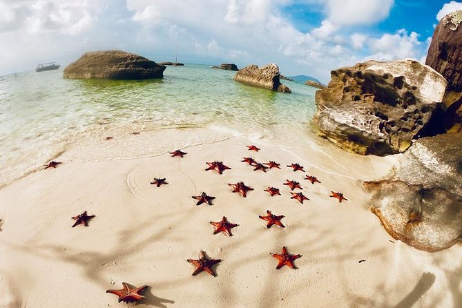 Land Tour 2: Discover the North - Kayaking & Starfish beach Phu Quoc (Not Lunch) - Overall Value and Practical Tips