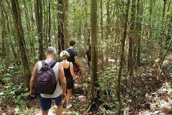 Land Tour 2: Discover the North - Kayaking & Starfish beach Phu Quoc (Not Lunch) - The Sum Up