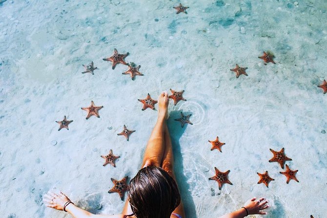 Land Tour 2: Discover the North - Kayaking & Starfish beach Phu Quoc (Not Lunch) - FAQs