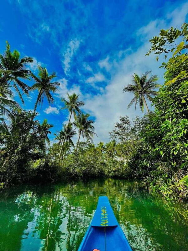 Land Tour Joiners - Authentic Traveler Feedback