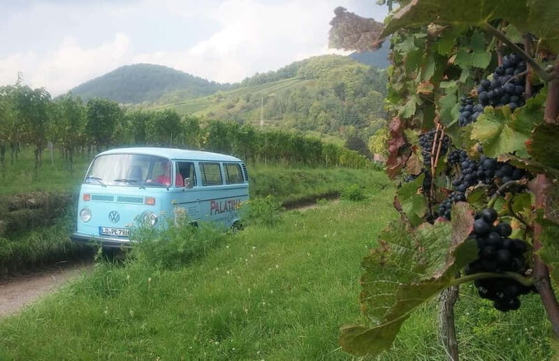 Landau: Tour in a vintage van through the Palatinate wine landscape - An In-Depth Look at the Landau Vintage Van Tour