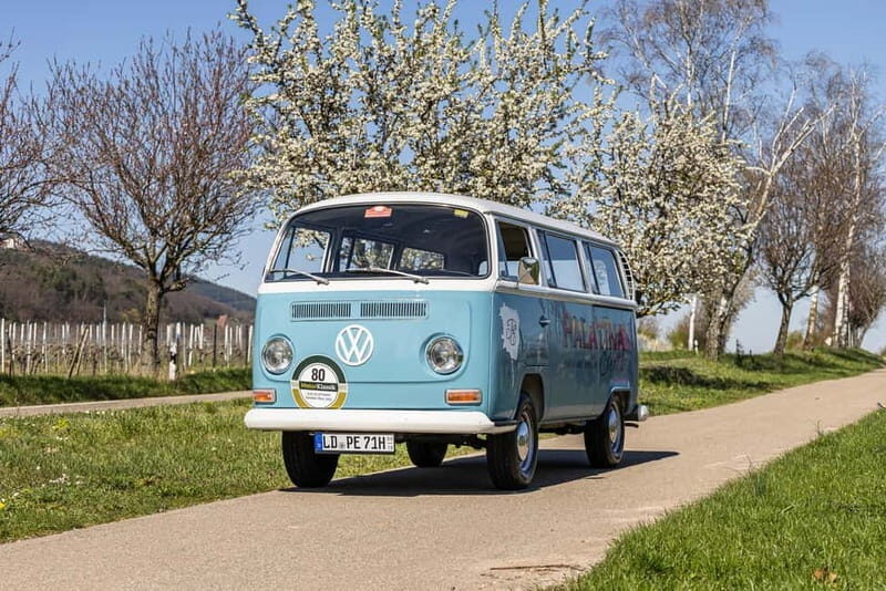 Landau: Tour in a vintage van through the Palatinate wine landscape - Final Thoughts