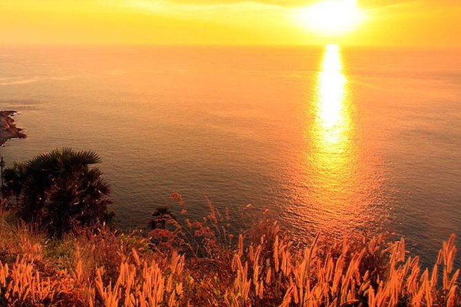 Landmark City Tours with Viewpoints & Monkey Hill "Must" to See - Final Thoughts