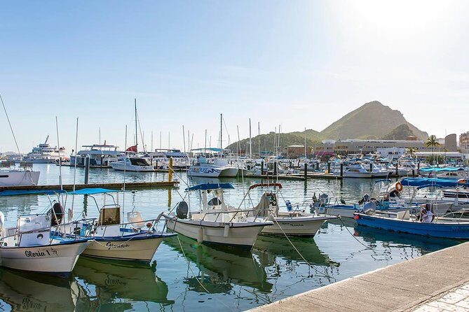 Lands End Experience  Arch, Beaches & Marine Life - FAQs