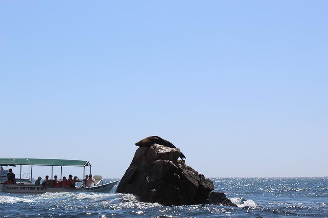 Land's End & Snorkel Tour in a Glass Bottom Boat (VisitA Cabo) - A Detailed Look at What to Expect