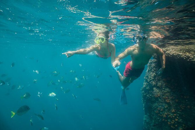 Land's End & Snorkel Tour in a Glass Bottom Boat (VisitA Cabo) - Final Thoughts