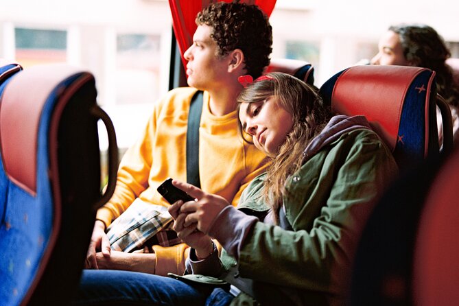 Landvetter Airport Bus Transfer Departure - Luggage Policy and Accessibility