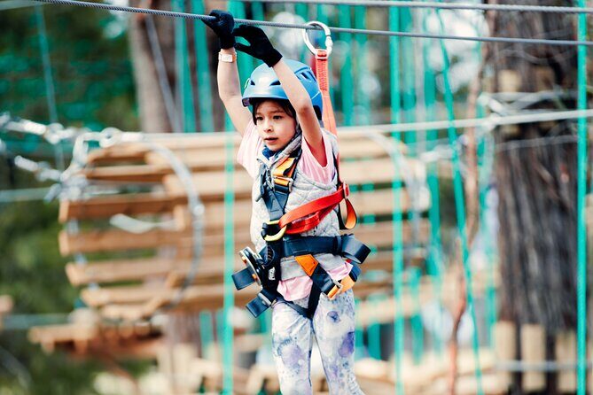 Lane Poole Park Dwellingup - Junior Tree Ropes & Ziplining - Exploring Lane Poole Park Dwellingup – The Details
