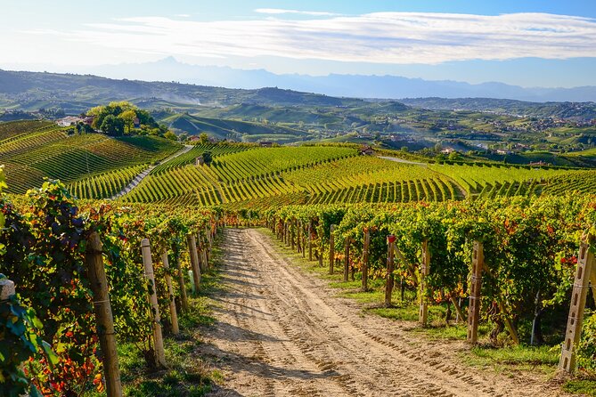 Langhe Del Barolo Private E-Bike Tour - Asphalt and Dirt Road - Accessibility and Recommendations