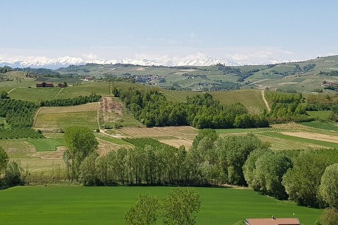 Langhe Museum Entrance Ticket Review - About Your Stay