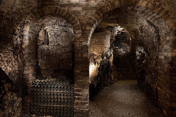 Langhe (Piedmont): Wine Tasting Experience - Guided Vineyard and Cellar Tours