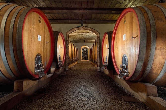 Langhe (Piedmont): Wine Tasting Experience - Accessibility Options
