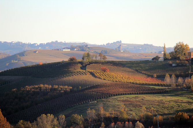 Langhe (Piedmont): Wine Tasting Experience - Since You Asked