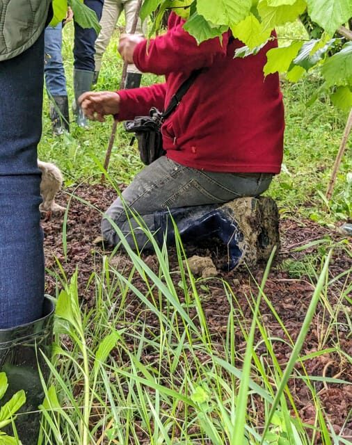 Langhe: Truffle Hunt and Wine-Tasting in a Cellar - Key Points