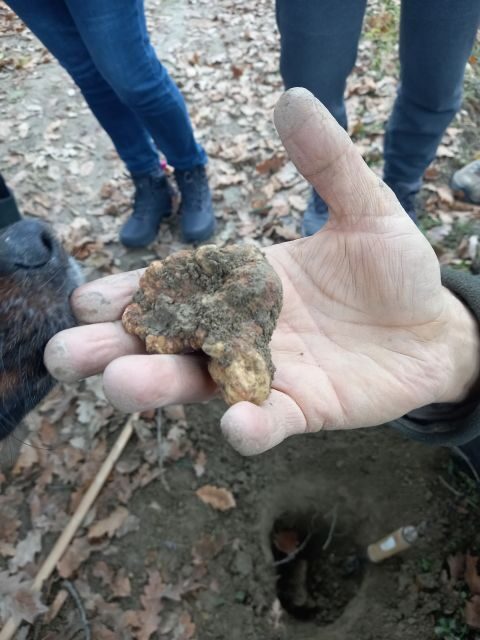Langhe: Truffle Hunting Experience - Discover the Charm of a Langhe Truffle Hunting Tour