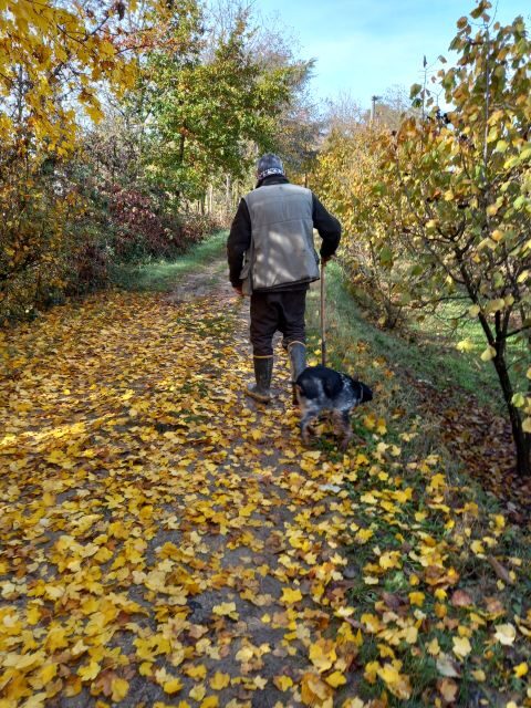 Langhe: Truffle Hunting Experience - Final Thoughts