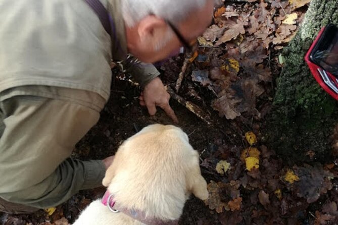 Langhe Truffle Hunting Experience - What to Expect During the Guided Tour