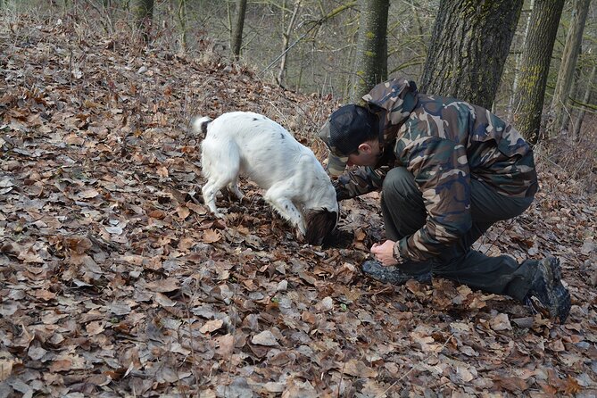 Langhe Truffle Hunting Experience - Transportation and Meeting Point Details