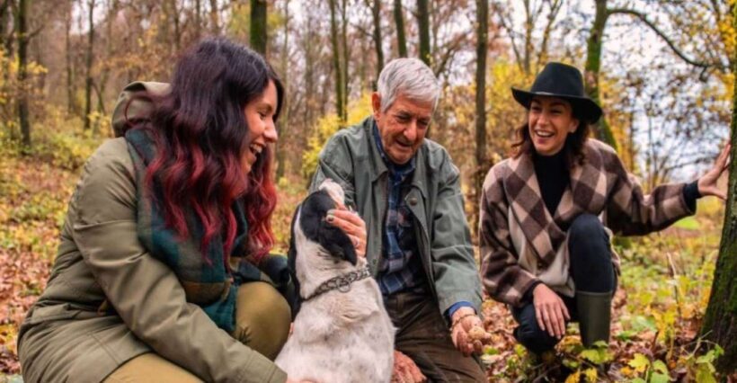 Langhe: Truffle Hunting Tour - What Makes This Tour Special?